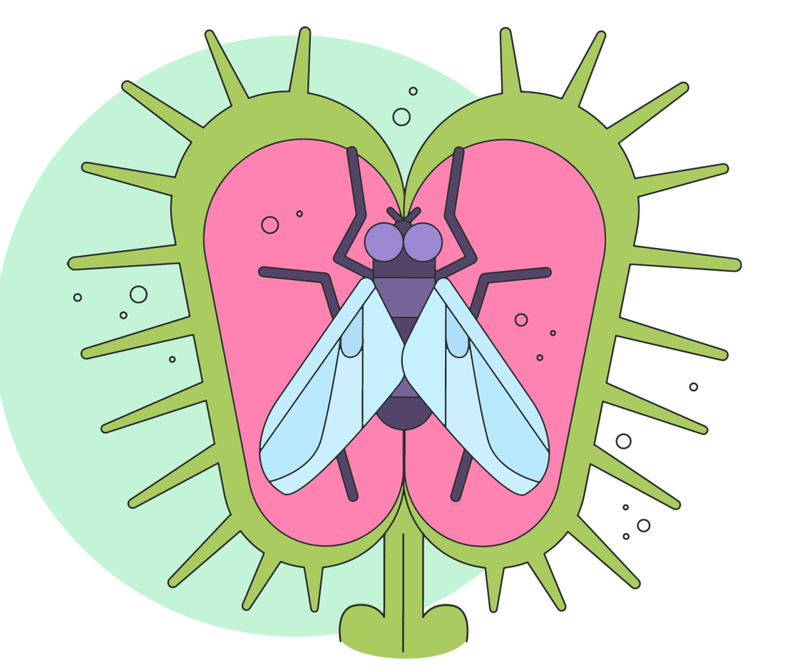 Fly Vector Vector Art & Graphics | freevector.com