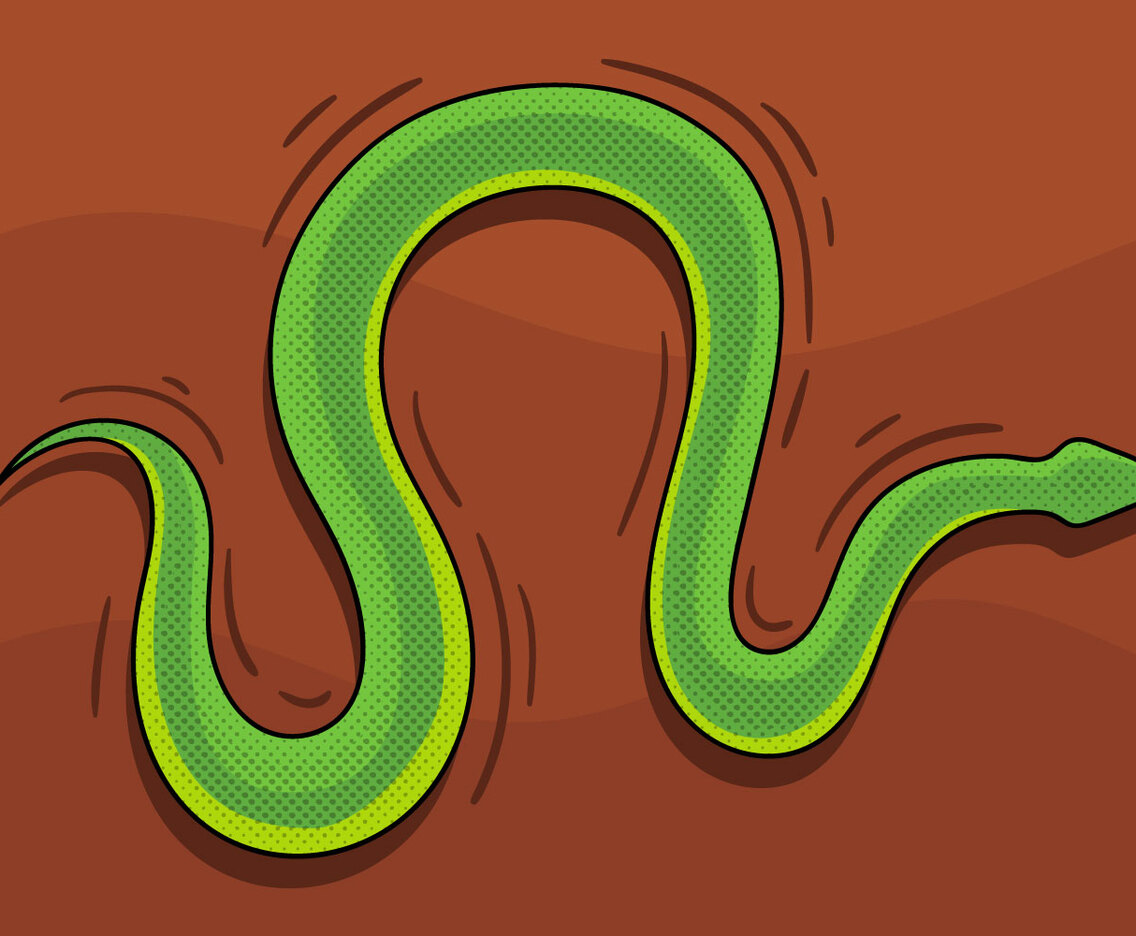 Green Snake Vector Art & Graphics | freevector.com