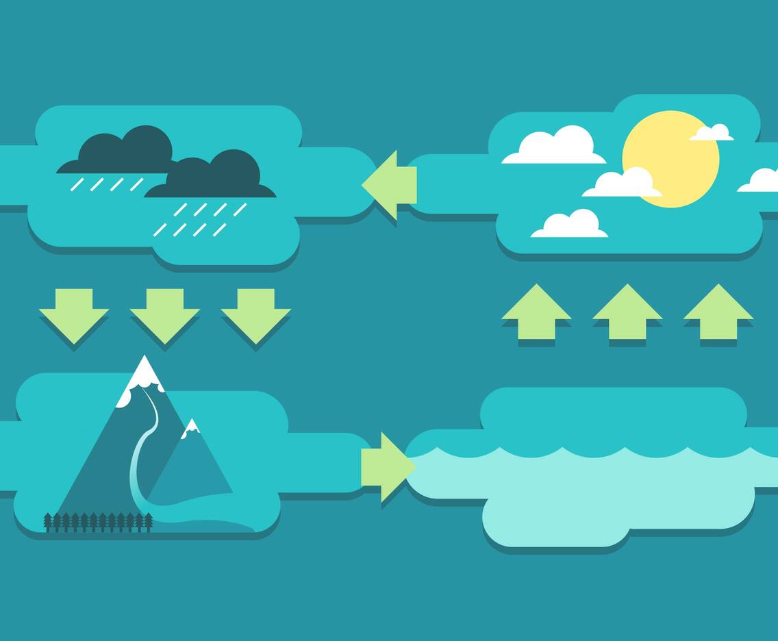 Water Cycle Infographic Vector Vector Art & Graphics | freevector.com