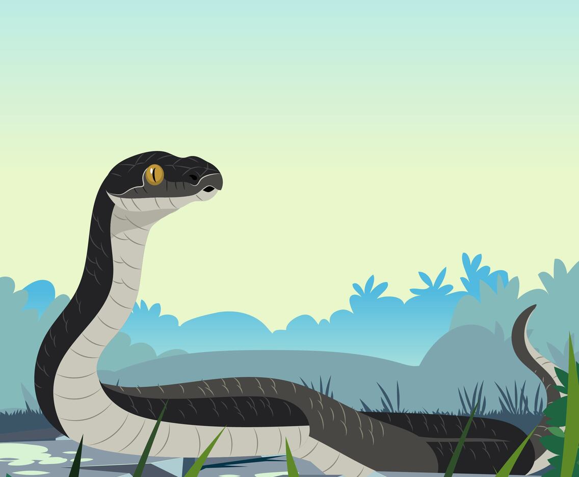 Black Snake Vector Art & Graphics | freevector.com