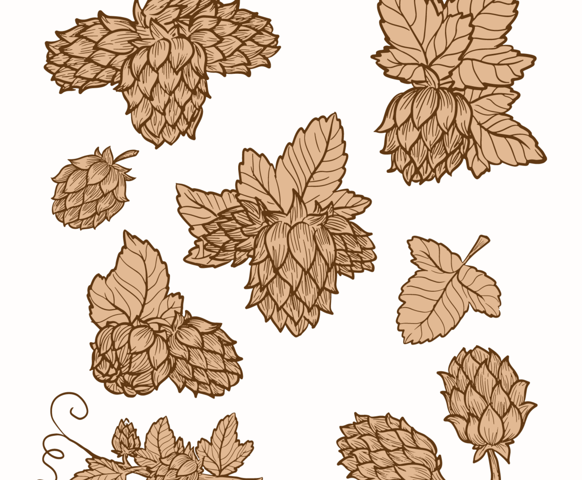 Hop Plant Vectors Vector Art & Graphics | freevector.com