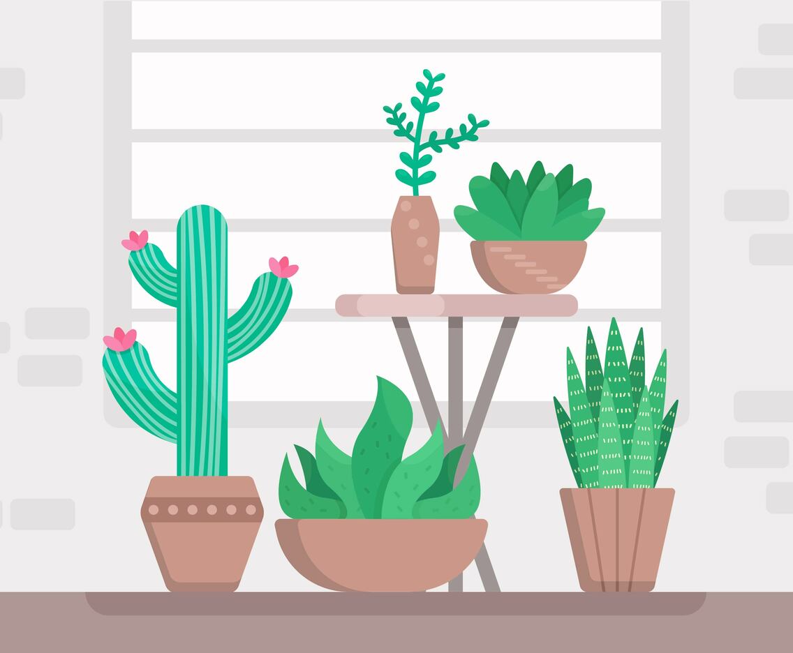 Succulents Vectors Vector Art & Graphics | freevector.com