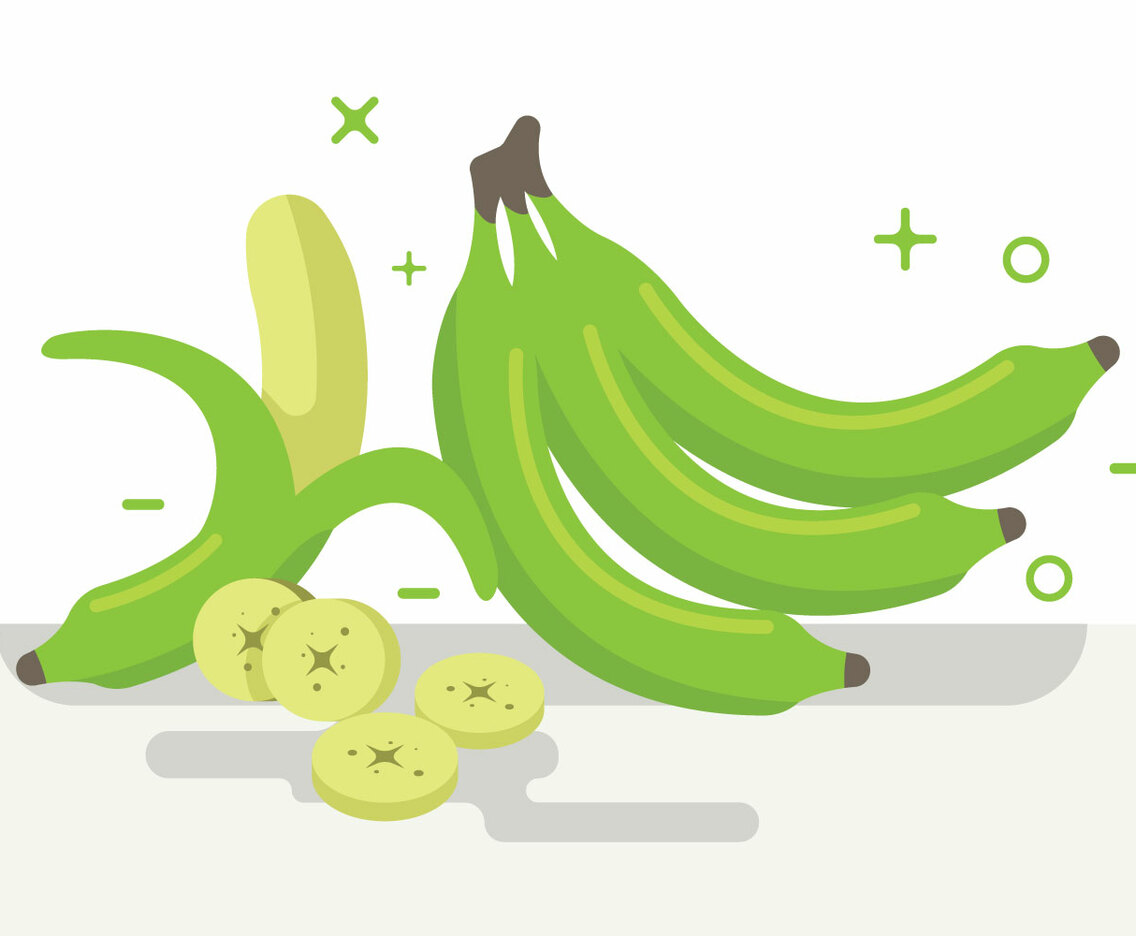 Flat Plantain Vector Art & Graphics | freevector.com
