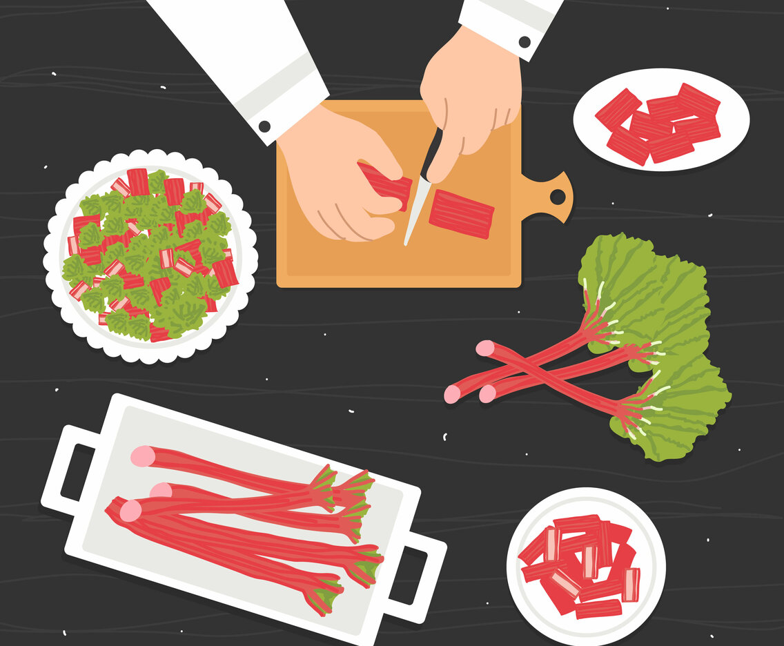 Rhubarb Vector Vector Art & Graphics | freevector.com