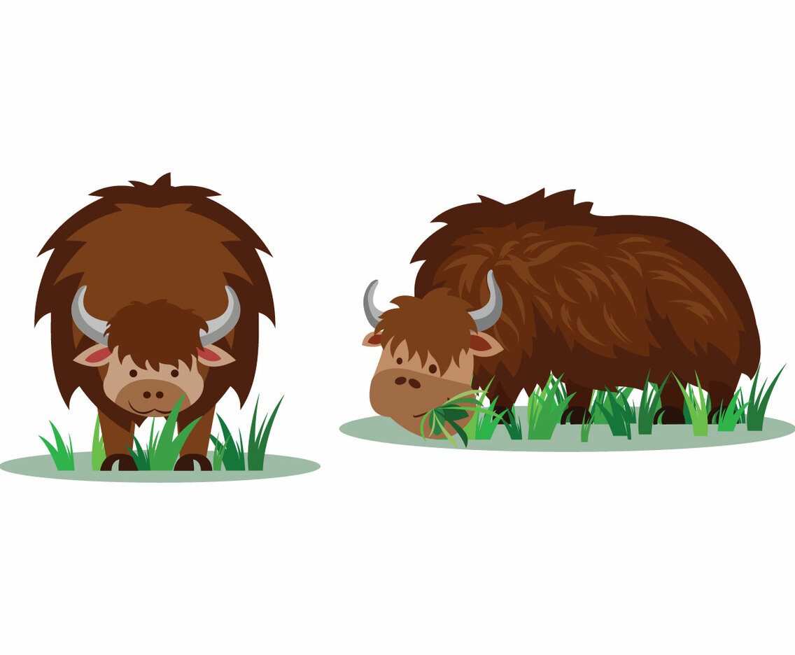 Cartoon Yak Vector Art & Graphics | freevector.com