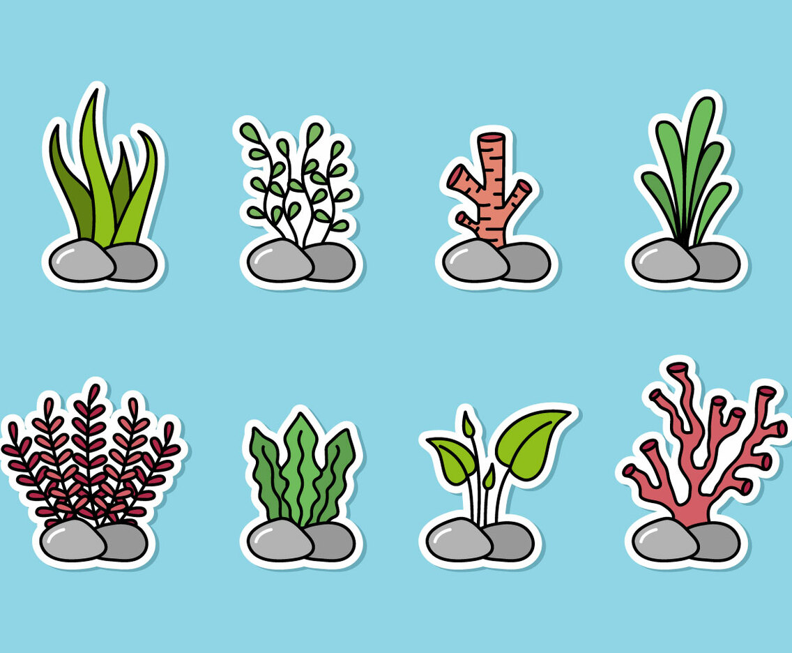 Seaweed Vector Vector Art & Graphics | freevector.com