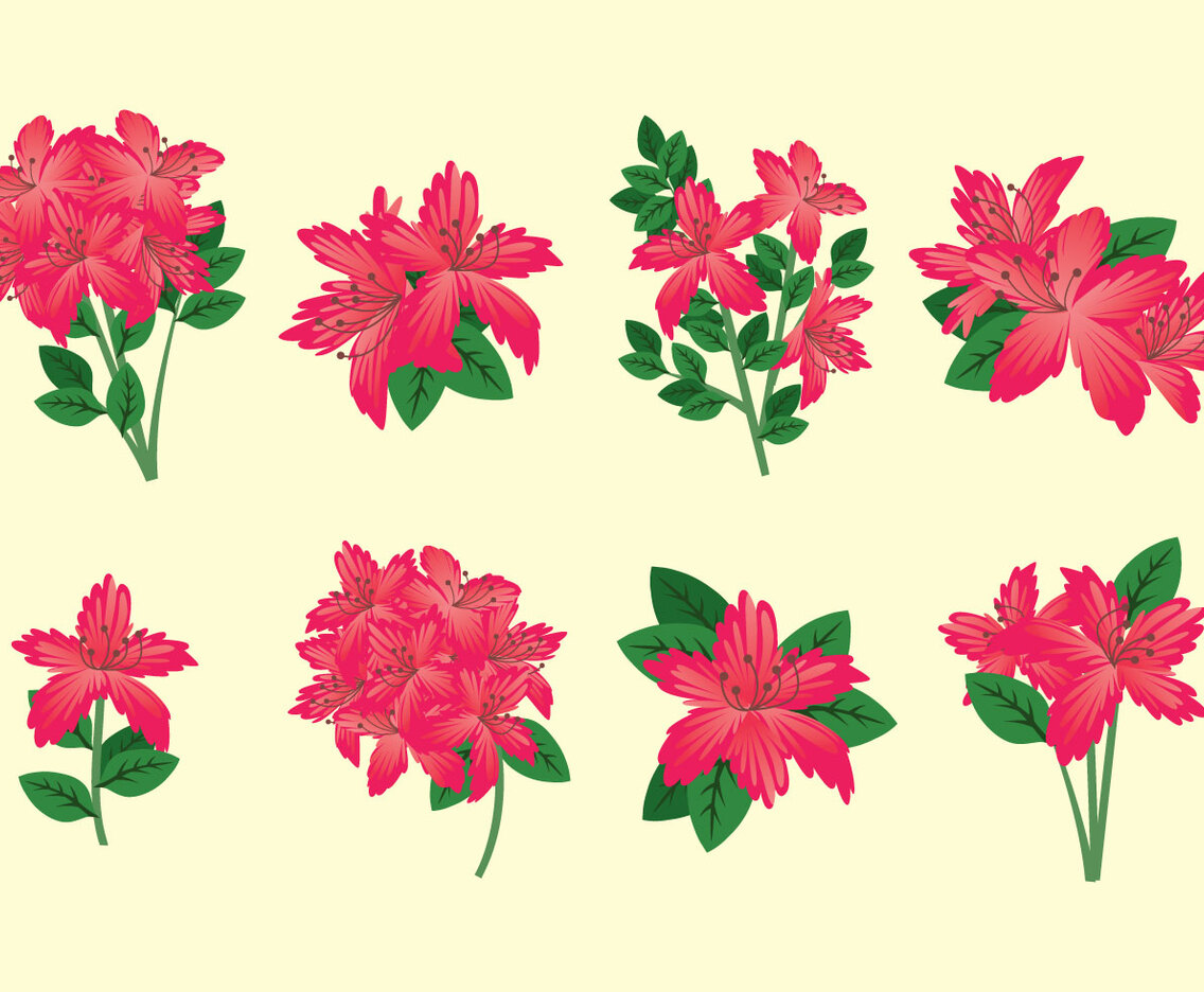 Rhododendron Vector Vector Art & Graphics | freevector.com