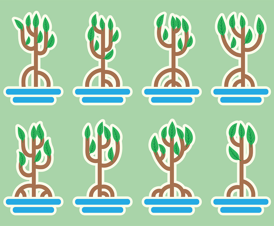 Mangrove Vector Vector Art & Graphics | freevector.com