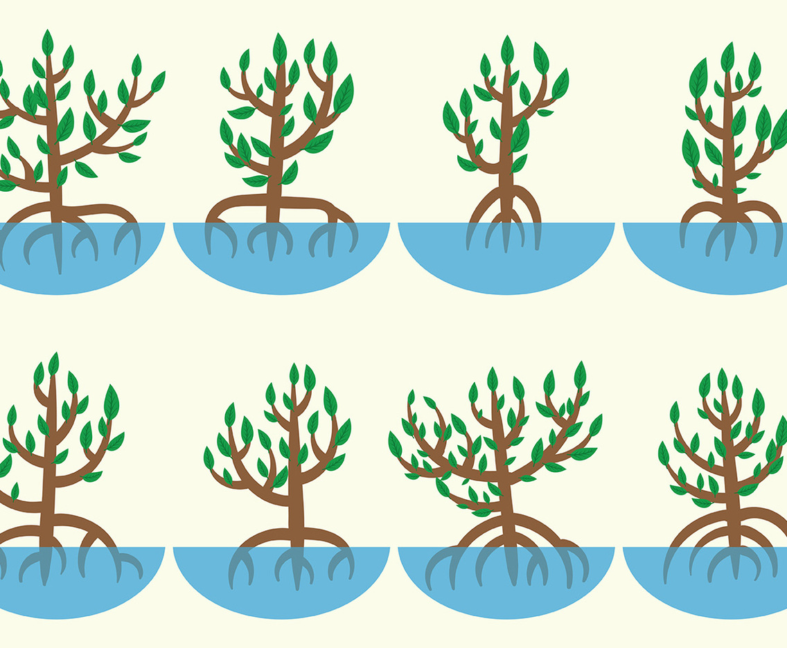 Mangrove Vector Vector Art & Graphics | freevector.com