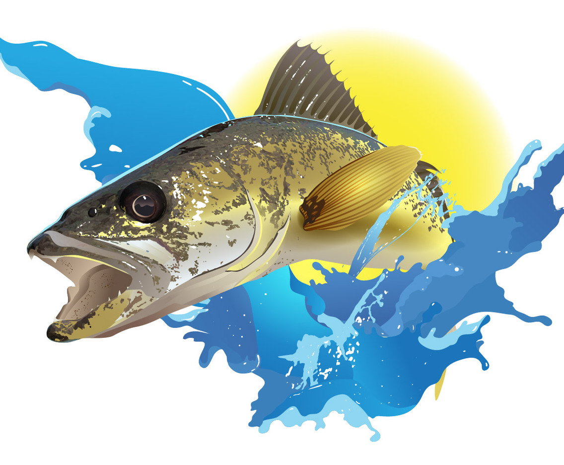 Walleye Jumping Vector Art & Graphics | freevector.com