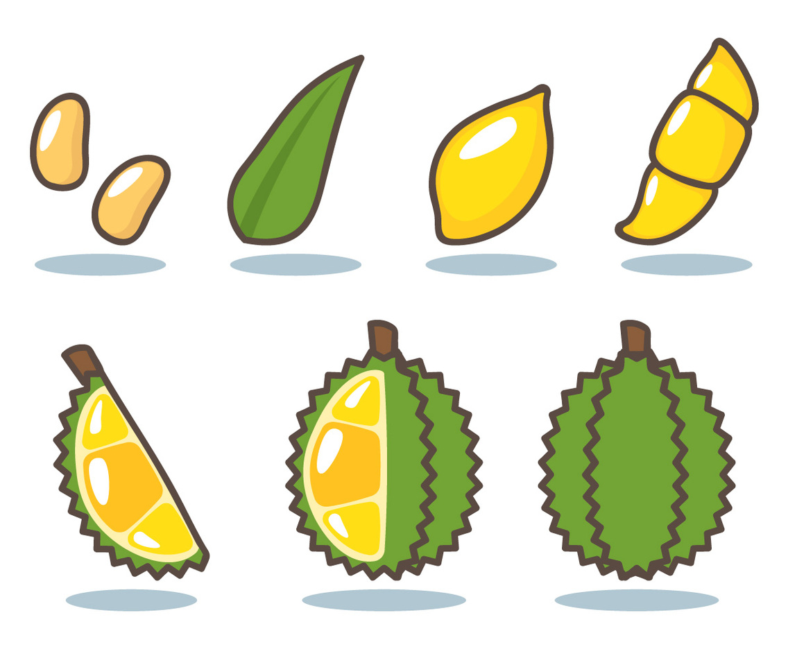 Durian Vector Vector Art & Graphics | freevector.com