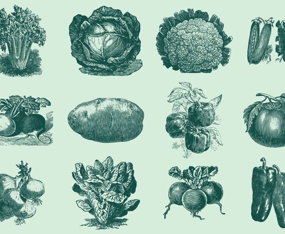 Vintage Vegetables Vector Art & Graphics | freevector.com