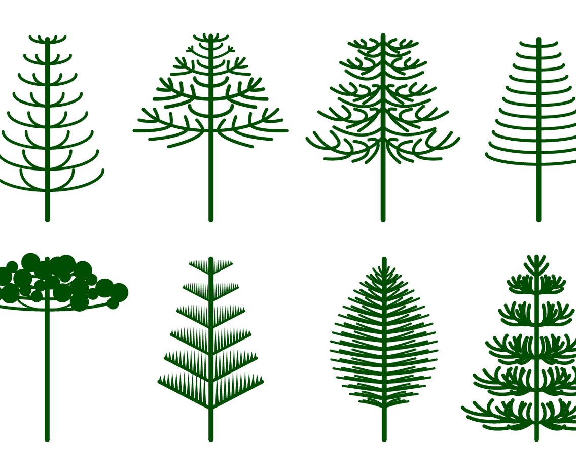 Free Araucaria Vector Vector Art & Graphics | freevector.com