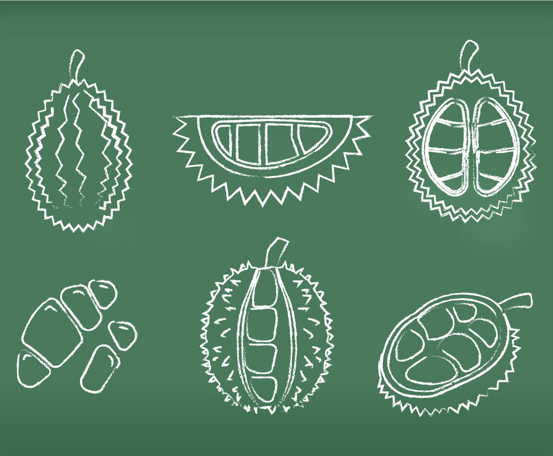 Durian Vector Vector Art & Graphics | freevector.com