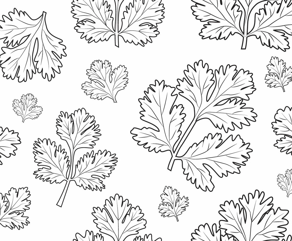 Cilantro Seamless Pattern Vector Art & Graphics | freevector.com
