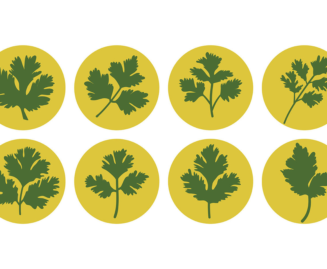 Free Cilantro Icons Vector Vector Art & Graphics | freevector.com