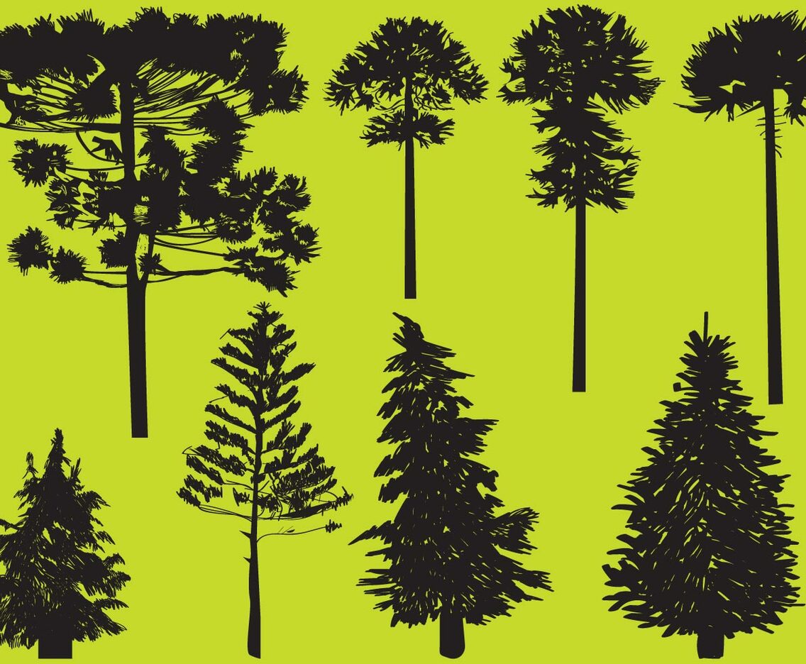 Silhouette Conifer Trees Vector Art & Graphics | freevector.com