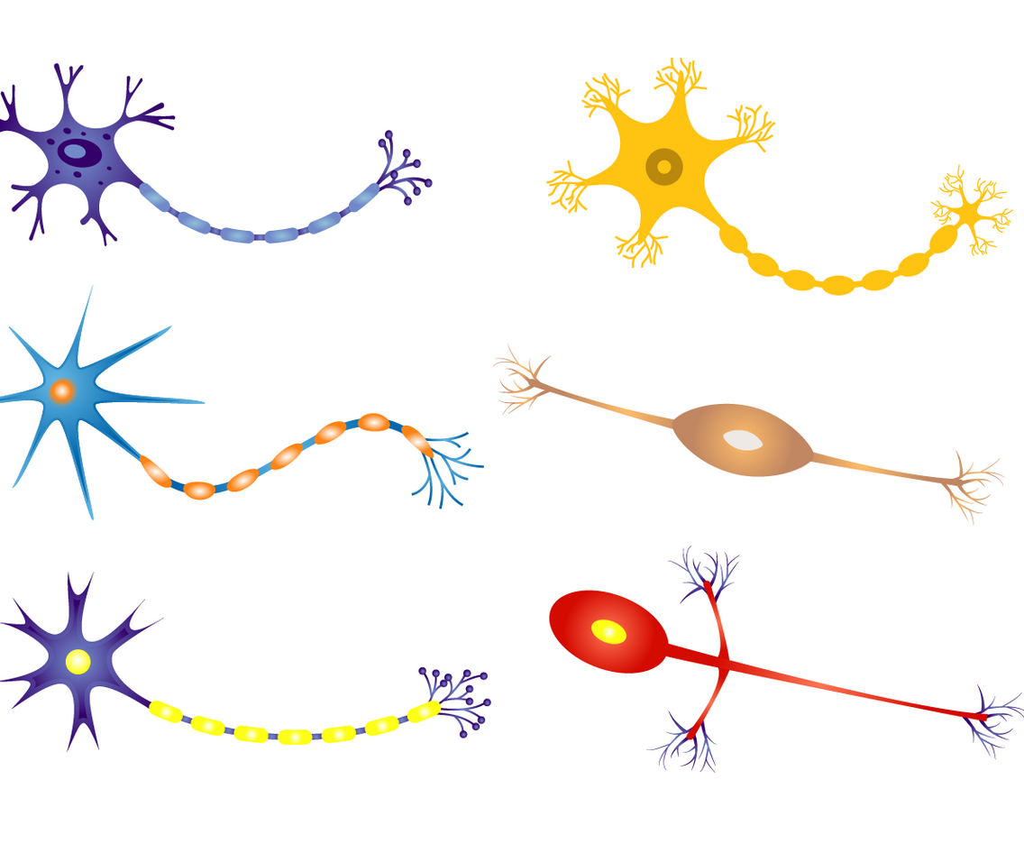 Free Neuron Vector Vector Art & Graphics | freevector.com