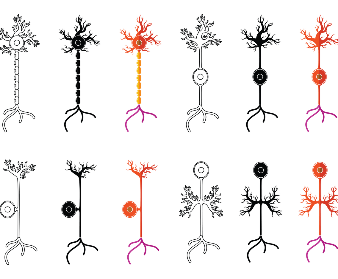 Set Of Neuron Vector Vector Art & Graphics | freevector.com
