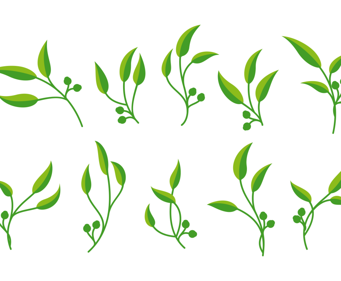 Eucalyptus Vector Vector Art & Graphics | freevector.com