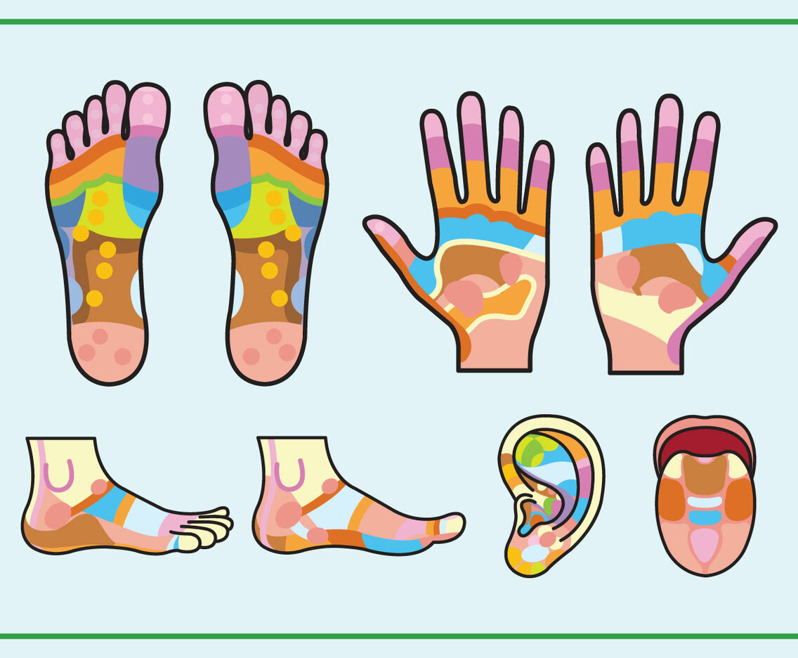 Free Reflexology Chart Vector Art & Graphics | freevector.com