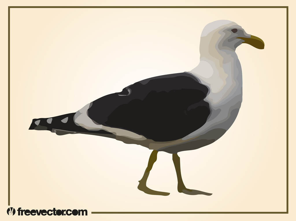 Walking Seagull Vector Art & Graphics | freevector.com