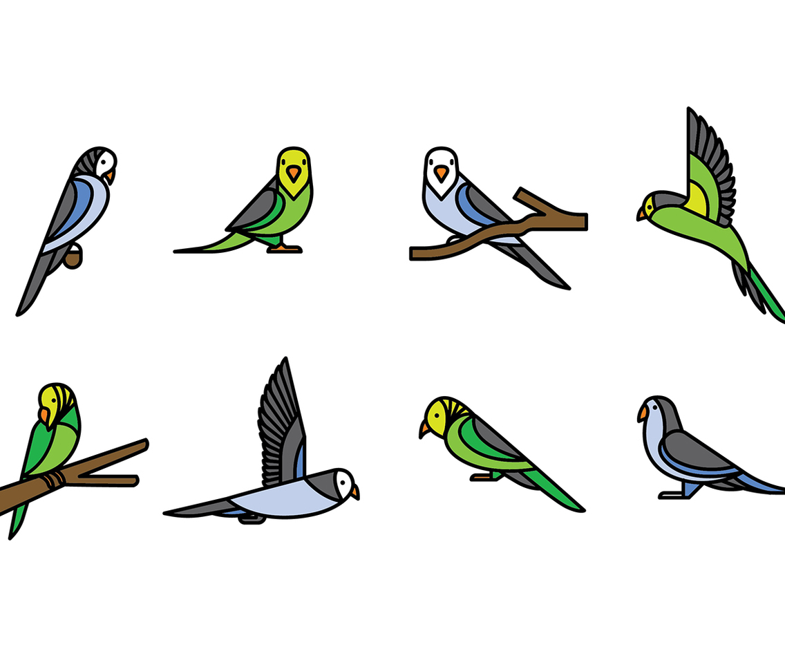 Budgie Vector Icons Vector Art & Graphics | freevector.com