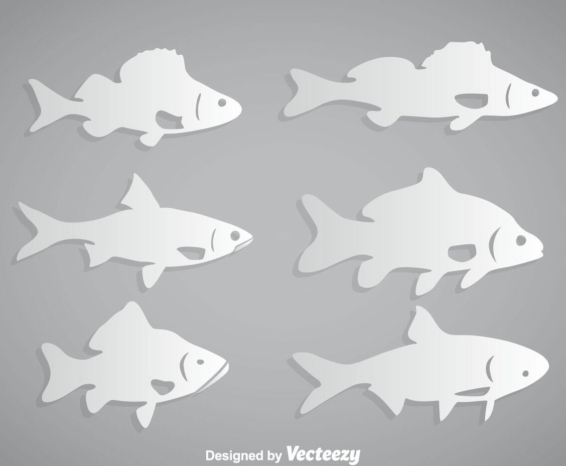 Fish White Vector Vector Art & Graphics | freevector.com
