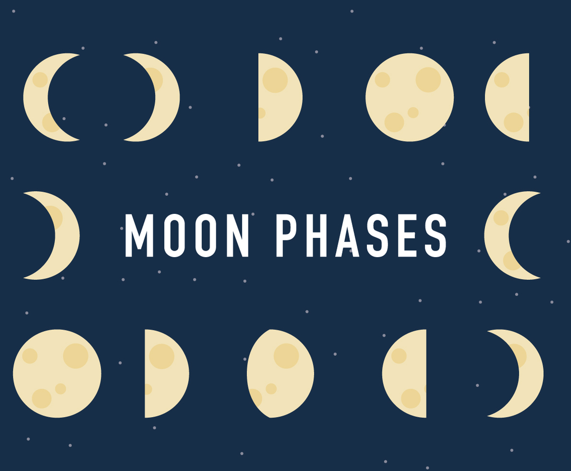 The Moon Phases Process Vector Vector Art & Graphics | freevector.com