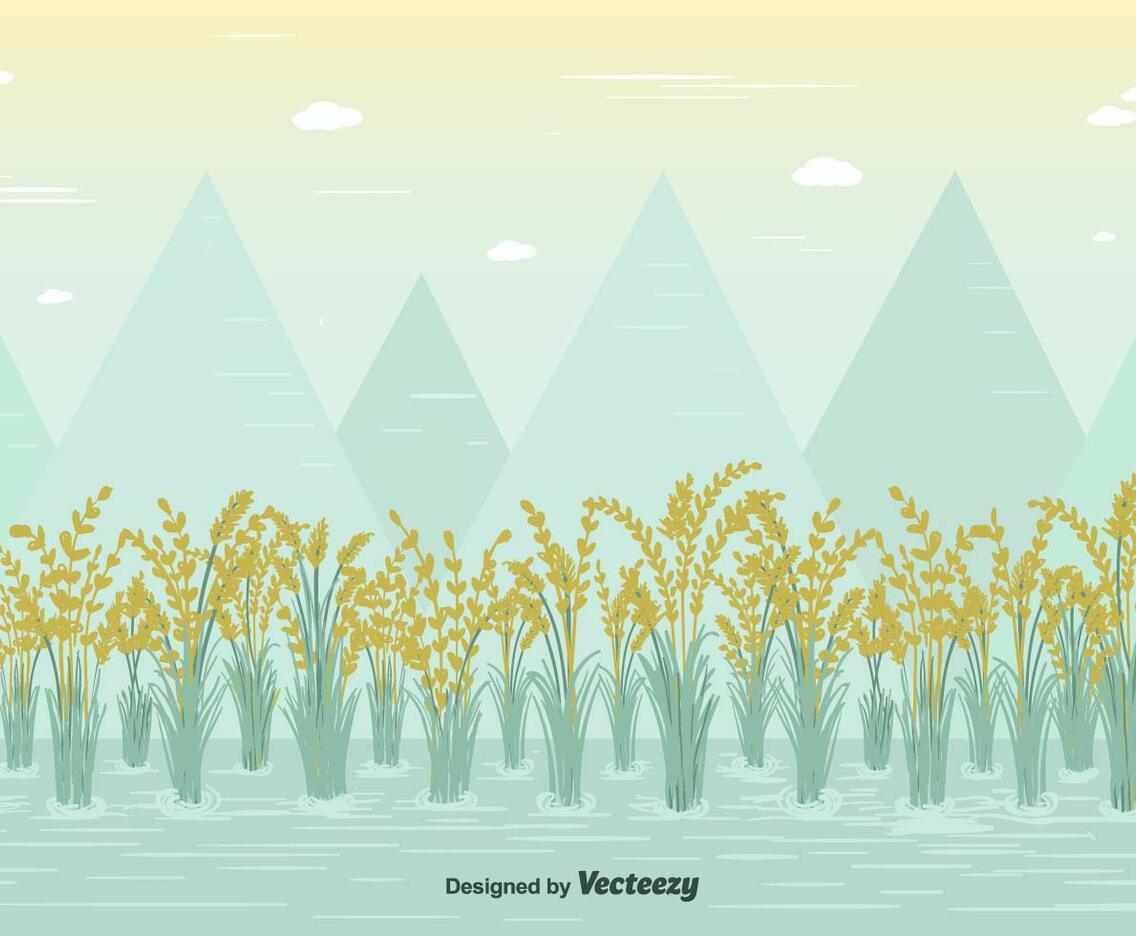 Free Rice Field Vector Vector Art & Graphics | freevector.com