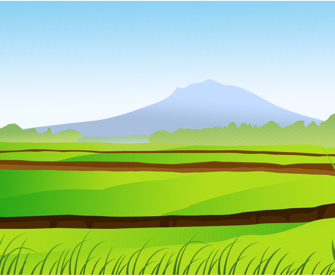 Rice Field Vector Vector Art & Graphics | freevector.com