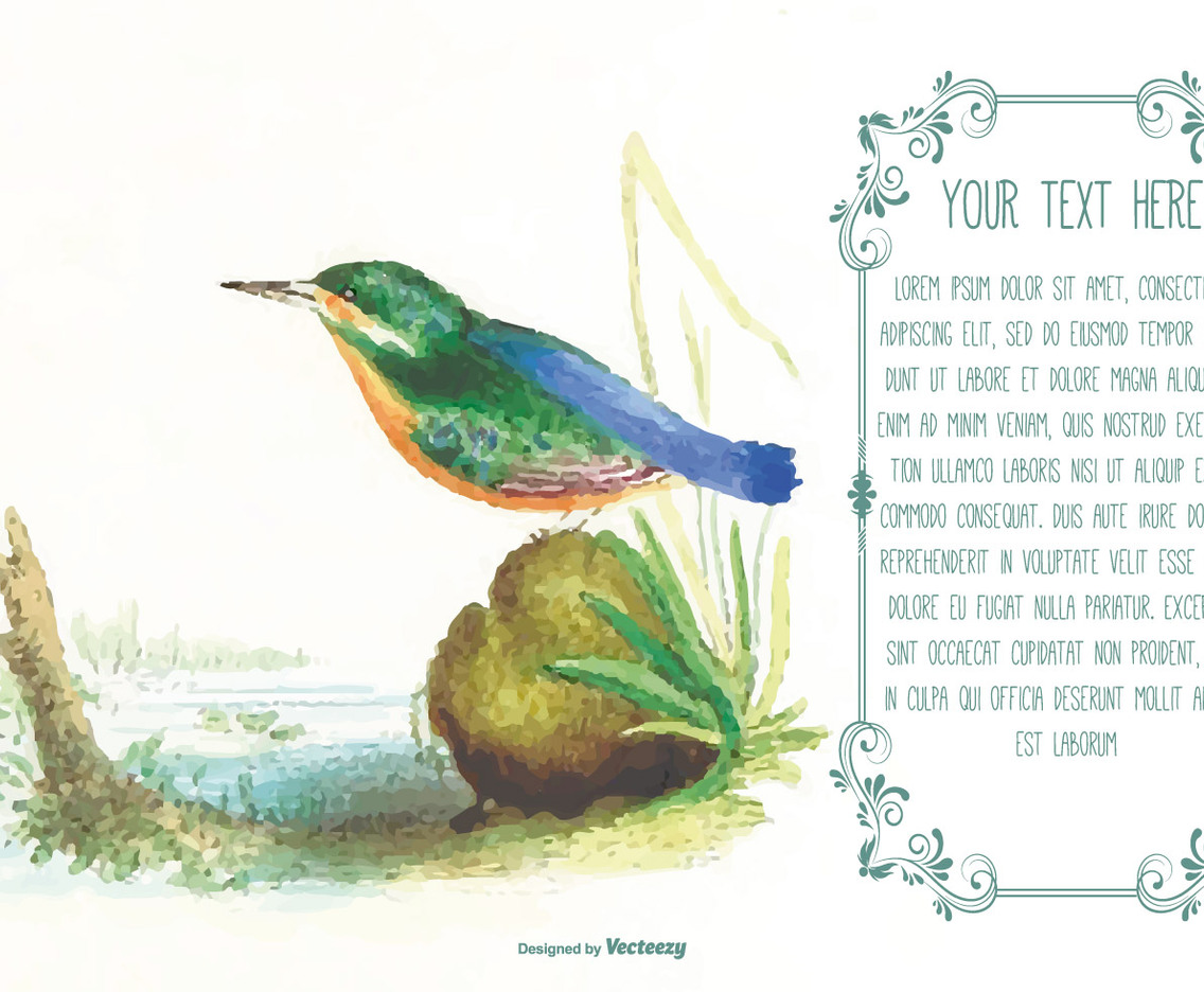 Beautiful Watercolor Bird Text Template Vector Art & Graphics ...
