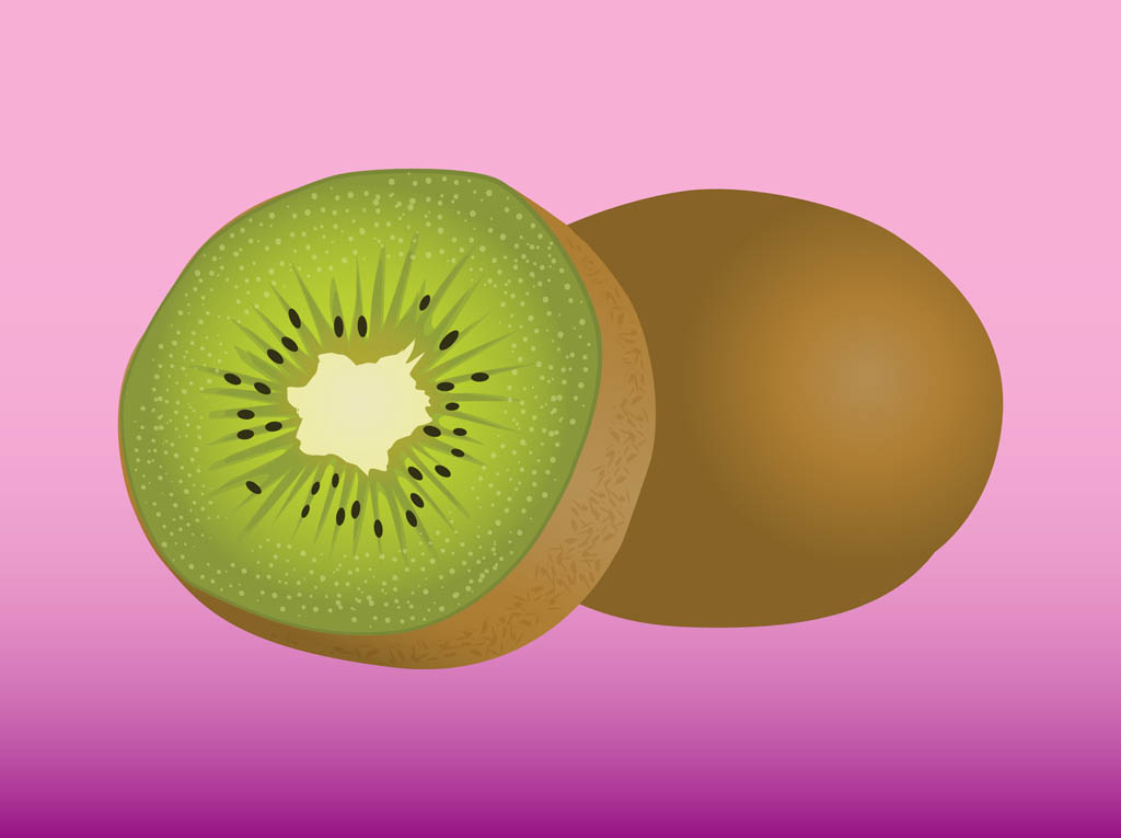 Kiwi Vector Art & Graphics | freevector.com