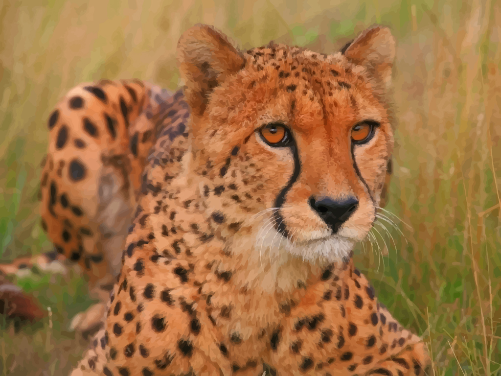 Stylized Cheetah