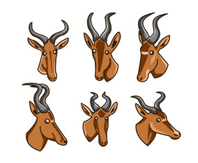 Oryx Head Vector Vector Art & Graphics | freevector.com