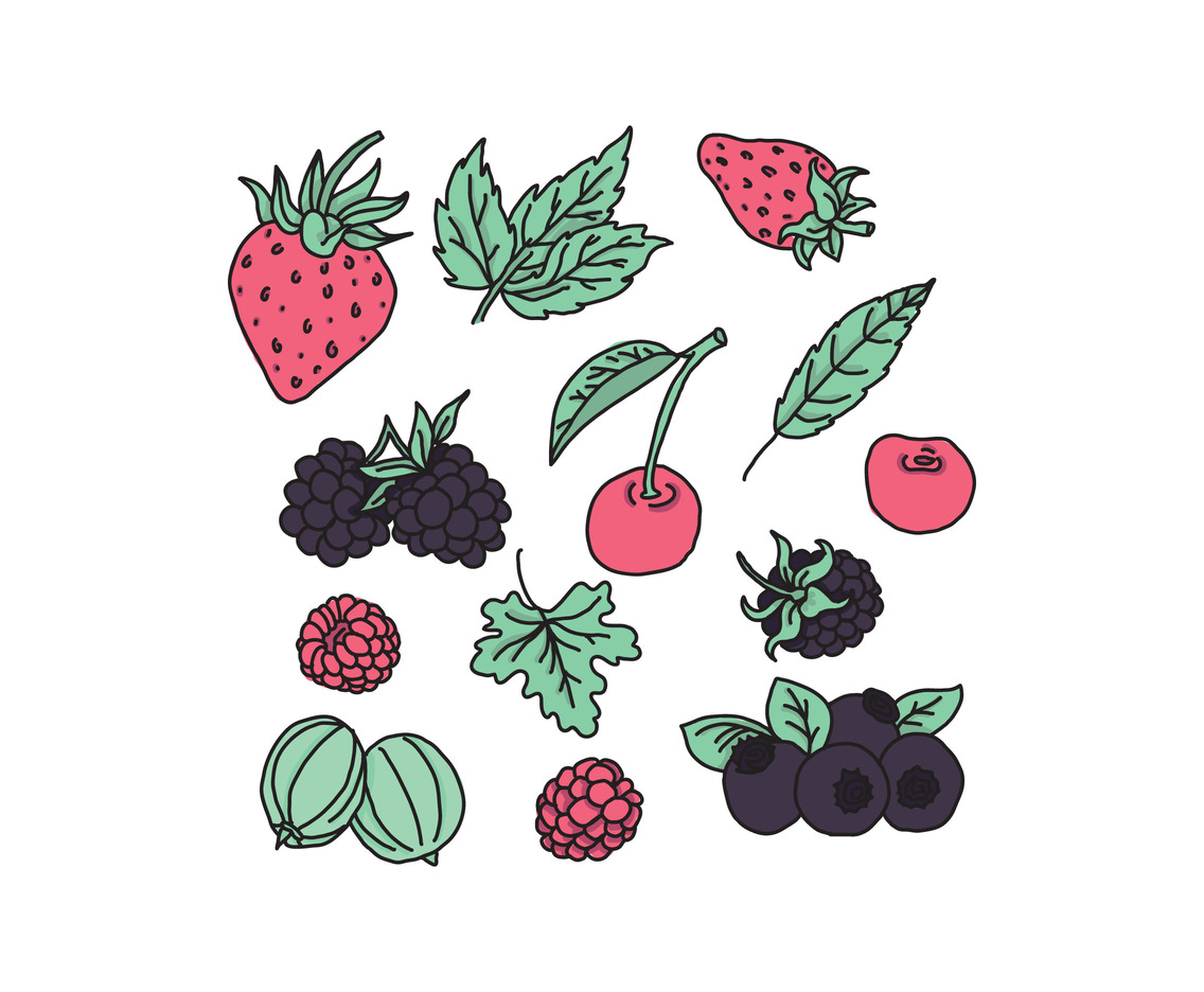 Doodles Of Berries Vector Art & Graphics | freevector.com