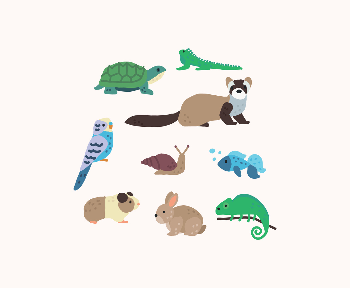 Colorful Pet Set Vector Art & Graphics | freevector.com
