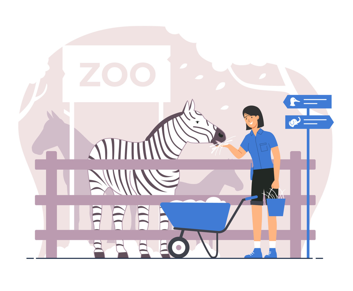 Zoo Keeper Holding Bucket And Feeding Zebra Vector Art & Graphics ...