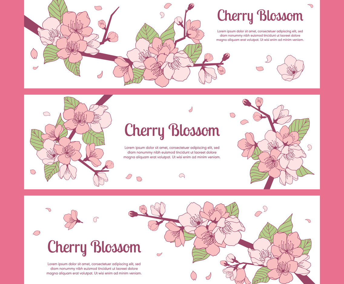 Set Of Banner Template With Beautiful Cherry Blossoms Hand Drawn Vector ...