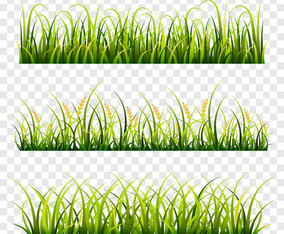 Grass Vector Art & Graphics | freevector.com
