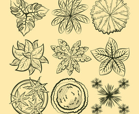 Tree Plan Outline Top View Vector Art & Graphics | freevector.com