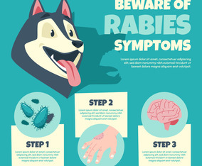 Rabies Day Vector Art & Graphics | freevector.com