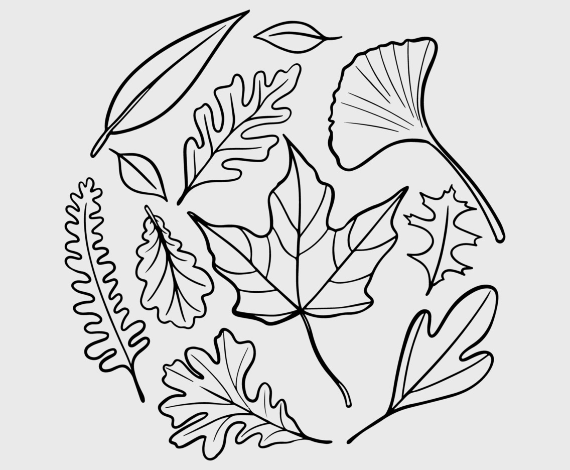 Fallen Leaves Icon Set Vector Art & Graphics | freevector.com