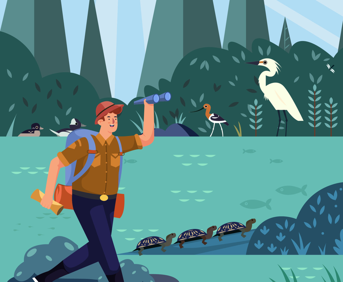 Wildlife Biologist Study Animal In The Forest Concept Vector Art ...