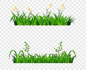 Grass Vector Art & Graphics | freevector.com