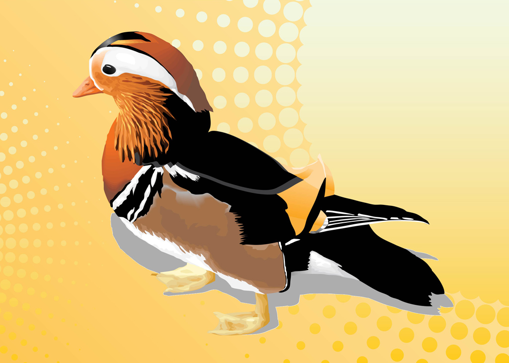 Mandarin Duck Vector Vector Art & Graphics | freevector.com