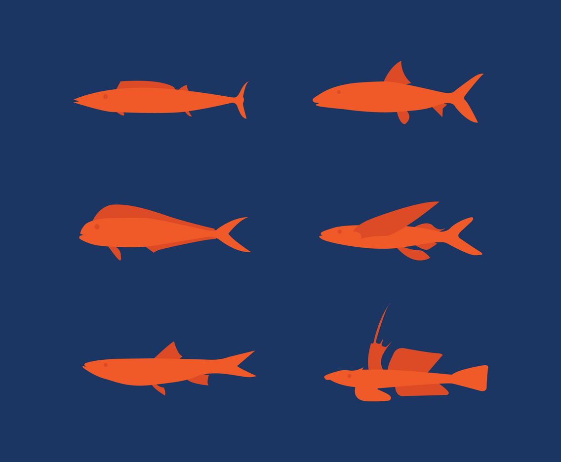 Flat Fish Set Vector Vector Art & Graphics | freevector.com